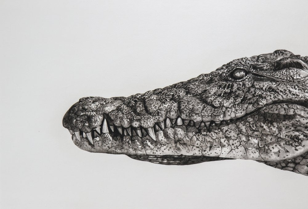 Tammy Mackay – Clifton Fine Art