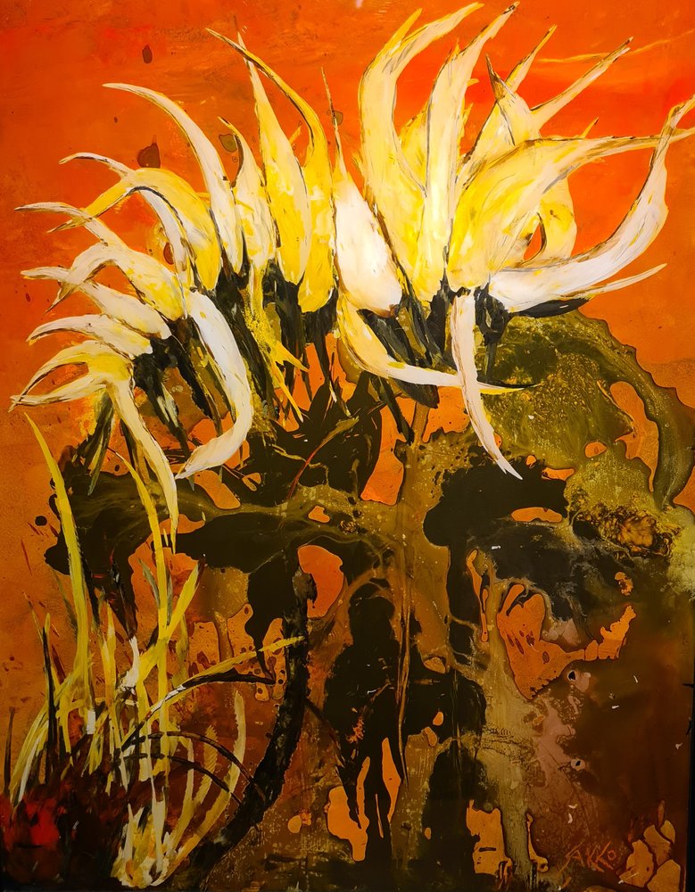 Sakko - Wild Sunset – Clifton Fine Art